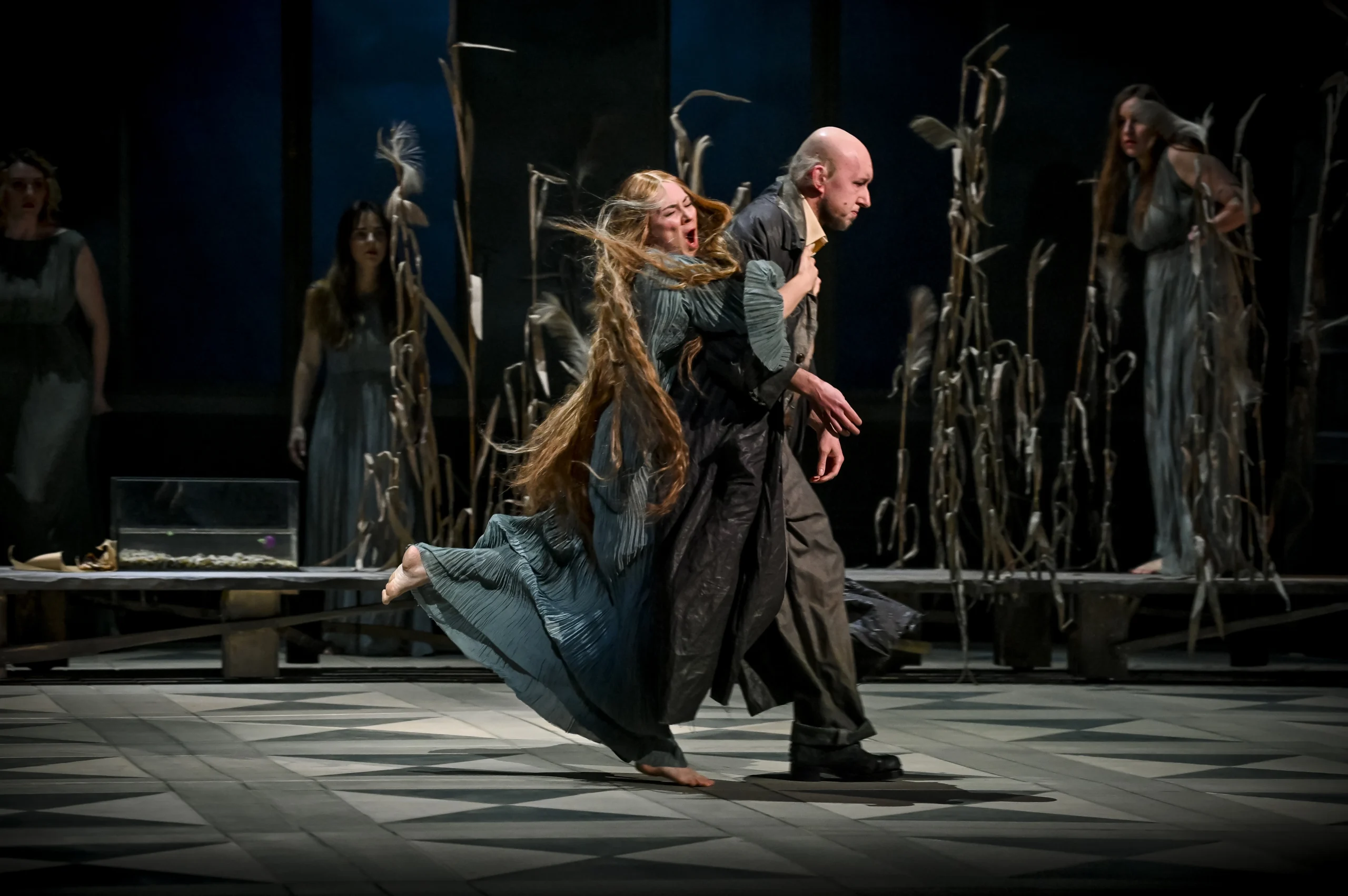 Janáčkovo divadlo v Brně chystá novou inscenaci Dvořákovy Rusalky ...