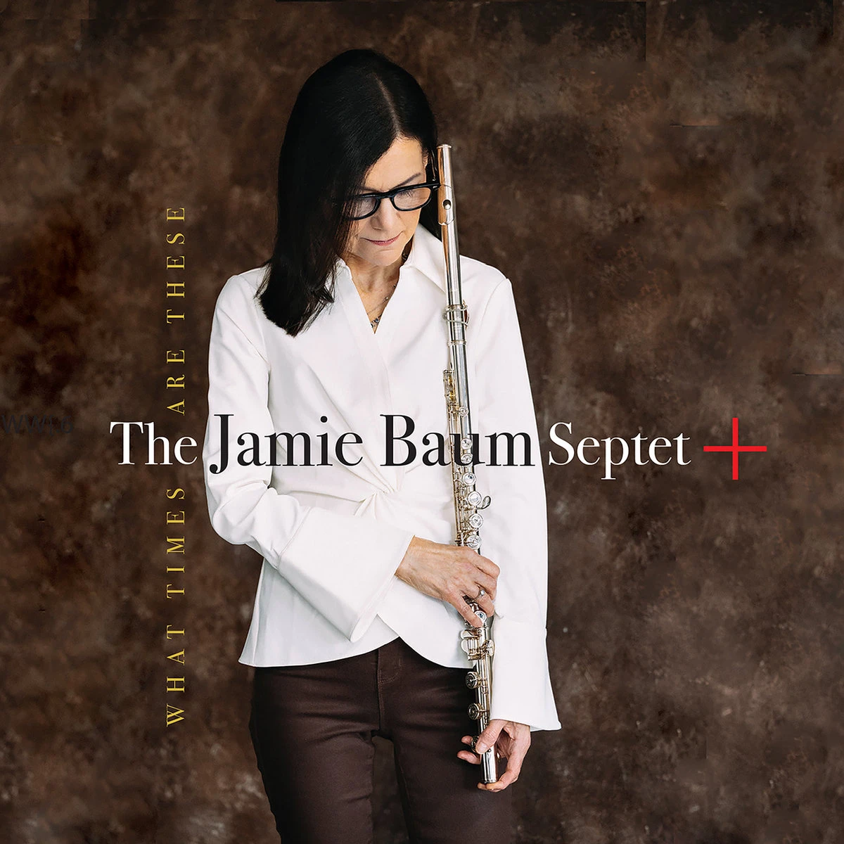 THE JAMIE BAUMSEPTET +What Times AreThese - Časopis Harmonie
